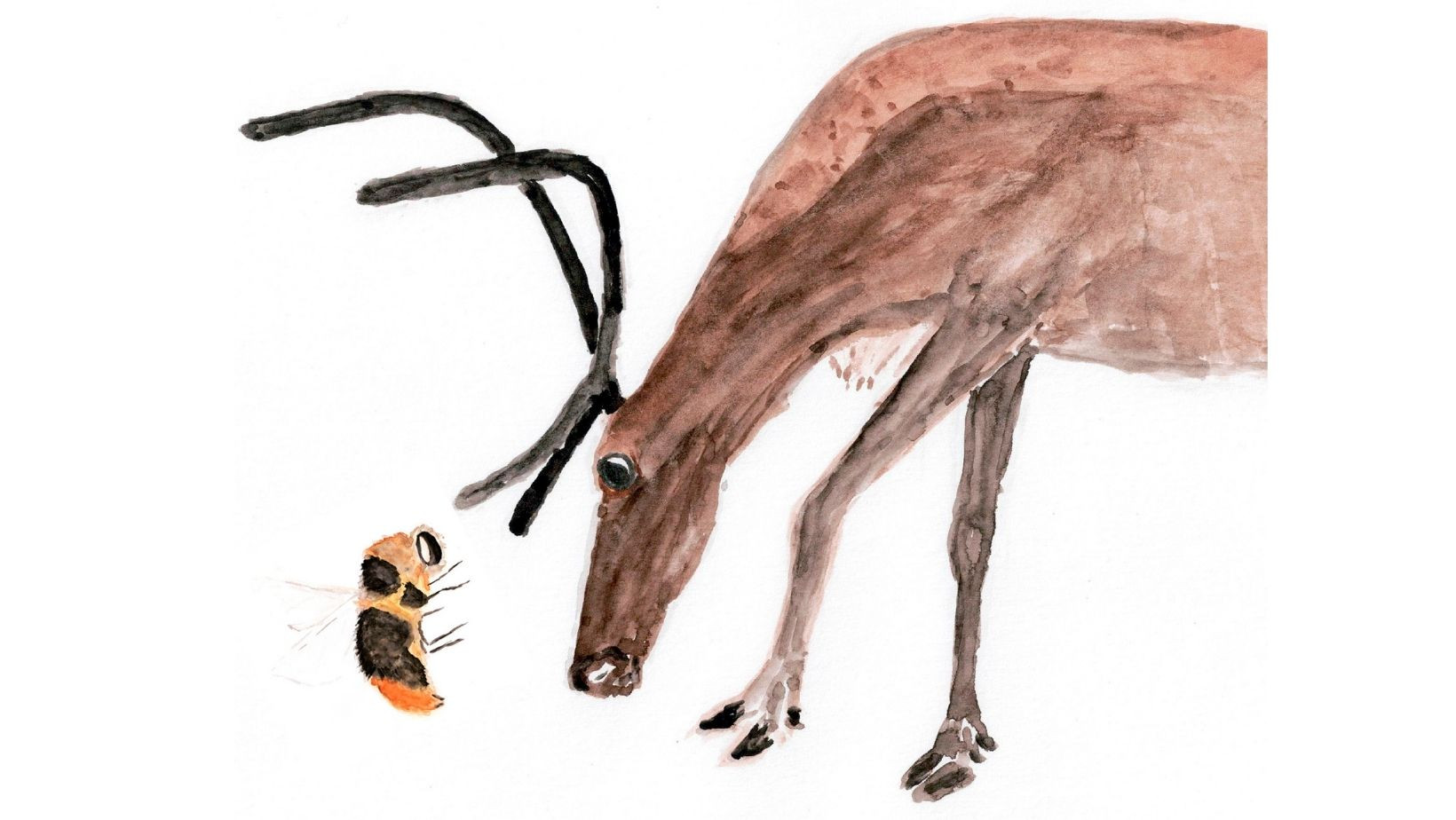 Riistaeläinten sairaudet: loiset - Yleisimmät parasiitit